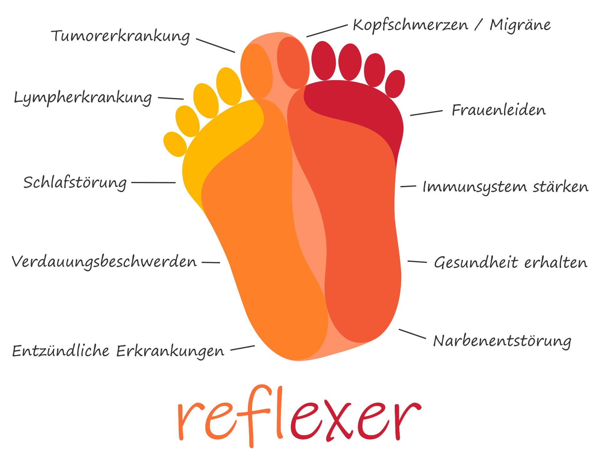 reflexer.ch